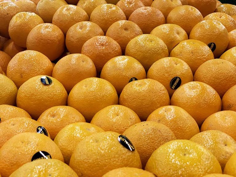 Valencia Orange Sunset Pie – Mummy To Twins Plus One