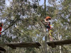 Climbing at Treetops Adventure Western Sydney – Mummy To Twins Plus One