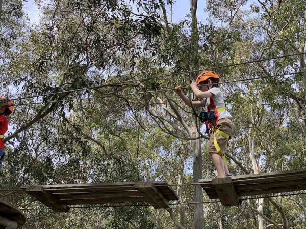 Climbing at Treetops Adventure Western Sydney – Mummy To Twins Plus One