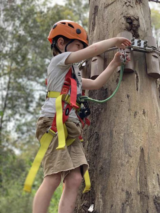Climbing at Treetops Adventure Western Sydney – Mummy To Twins Plus One