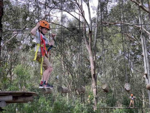 Climbing at Treetops Adventure Western Sydney – Mummy To Twins Plus One
